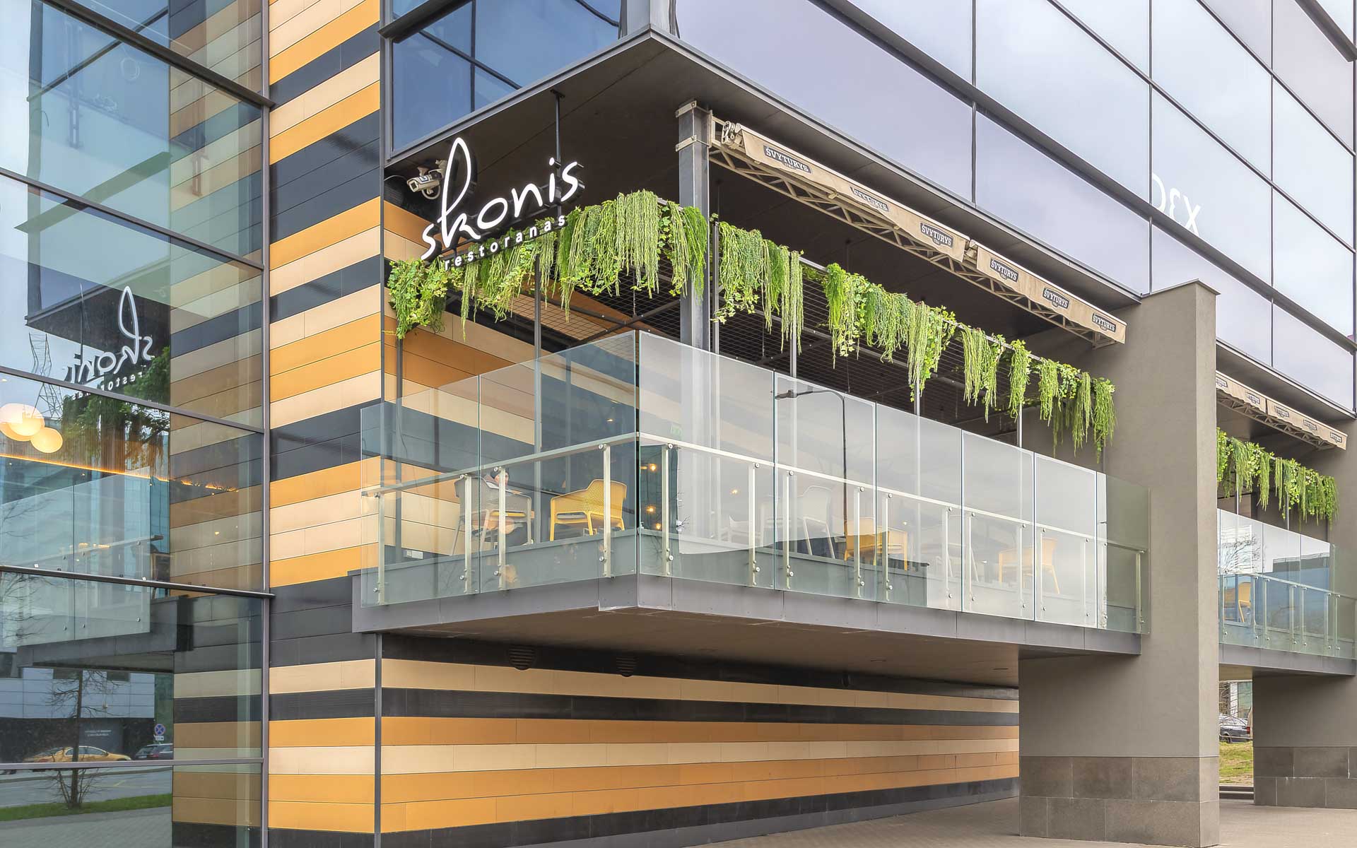 Skonis