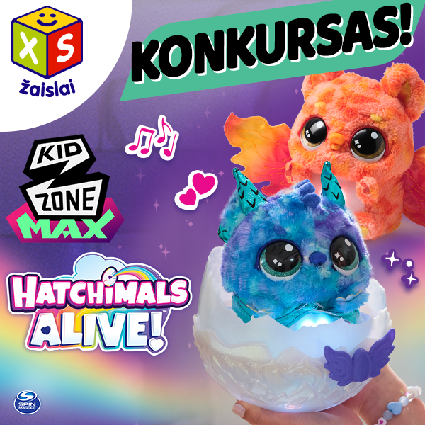 HATCHIMALS ALIVE! | PANORAMA